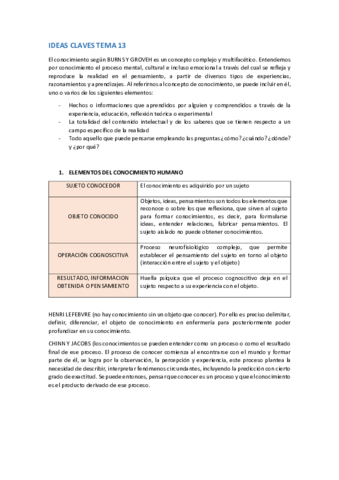 Ideas-claves-tema-13.pdf