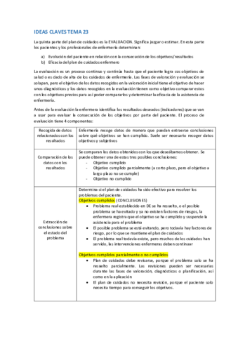 Ideas-claves-tema-23.pdf