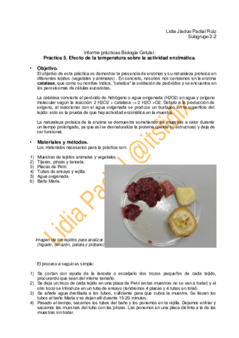 Informe-practica-5-BioCel.pdf
