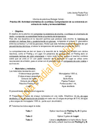 Informe-practica-5B-Biocel-amilasa.pdf