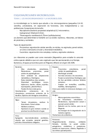 ESQUEMAS-MICRO.pdf