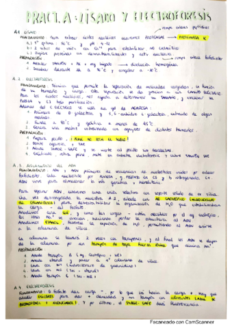 Resumen-Practicas-BQ-con-calculos.pdf