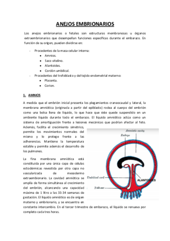 ANEJOS-EMBRIONARIOS.pdf