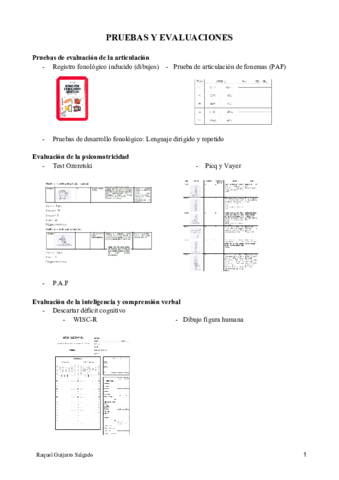 PRUEBAS-Y-EVALUACIONES.pdf