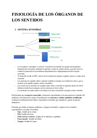 FISIOLOGIA-DE-LOS-ORGANOS-DE-LOS-SENTIDOS.pdf