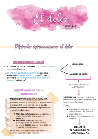 TEMA-2-VIAS-DEL-DOLOR.pdf