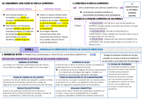 MAPA-CONCEPTUAL-TEMA-6-MUY-COMPLETO.pdf