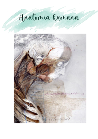 Anatomia-humana.pdf