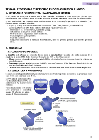 08-BIOCEL.pdf