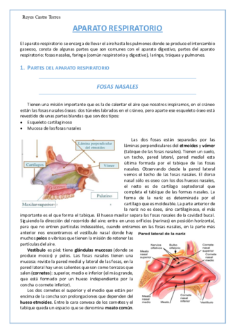 TEMA 2-Aparato respiratorio.pdf