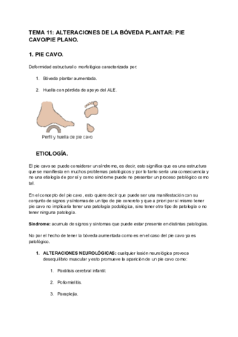 TEMA-11-ALTERACIONES-DE-LA-BOVEDA-PLANTAR-PIE-CAVOPIE-PLANO.pdf