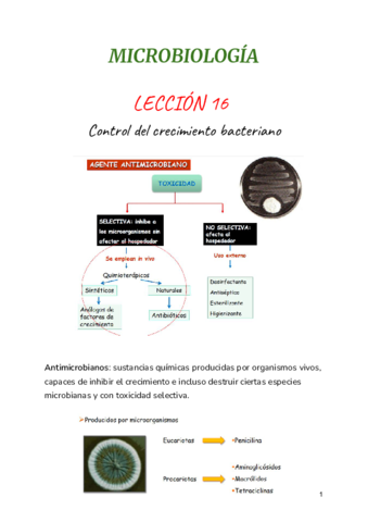 LECCION-16.pdf