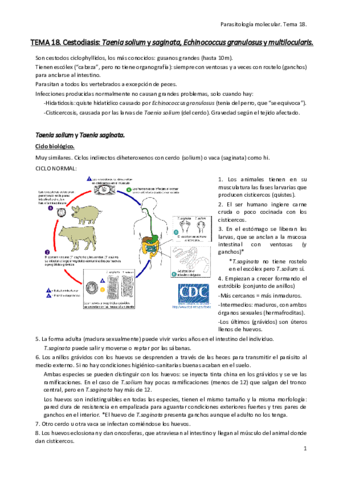 Tema-18.pdf