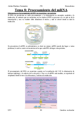 Tema-8-Procesamiento-mRNA.pdf