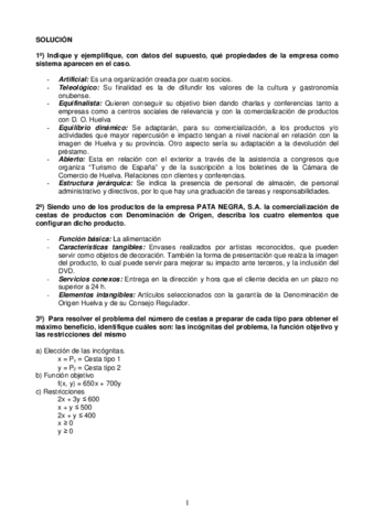 Pata-Negra-SA-Solucion.pdf