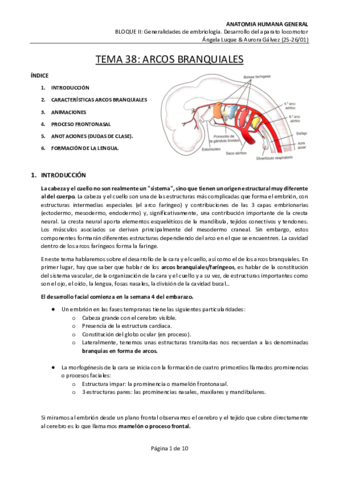 TEMA-38-AHG.pdf