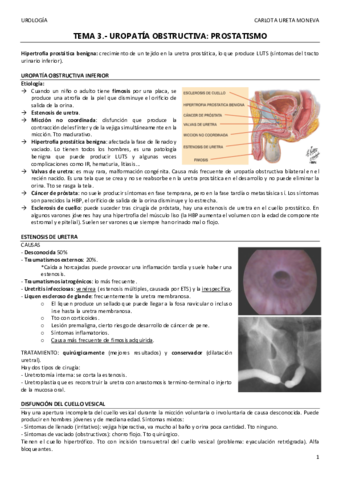 uro-tema3.pdf
