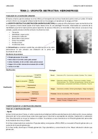 uro-tema2.pdf