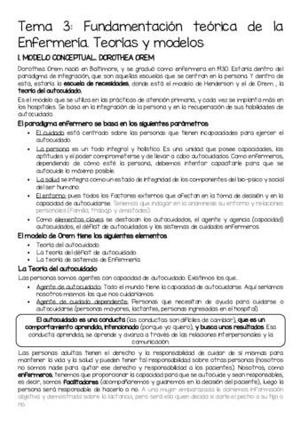 T3-Teorias-y-modelos.pdf