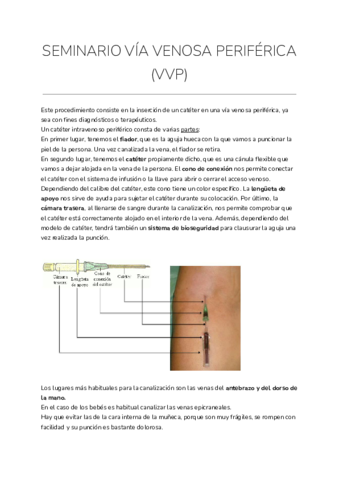 SEMINARIO-VIA-VENOSA-PERIFERICA-VVP.pdf