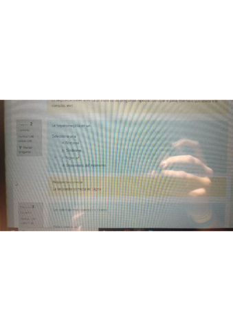 Q1-Generalidades.pdf