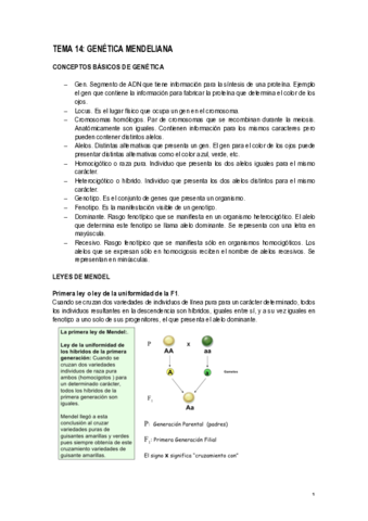 TEMA-14-Genetica-mendeliana.pdf