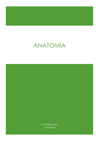 Anatomia Apuntes Pdf