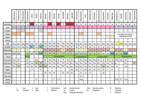 Tabla-resumen-bacterias.pdf