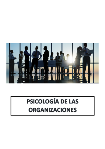 Psicologia-de-las-Organizaciones-Completo.pdf