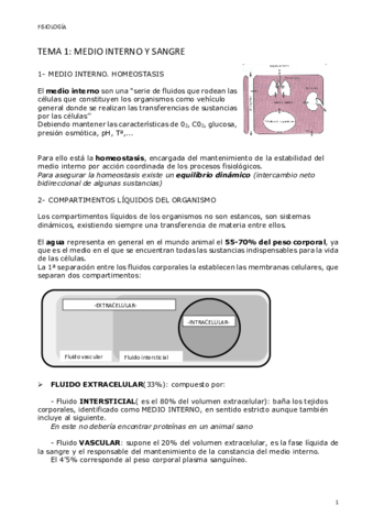 Tema-1-medio-interno.pdf