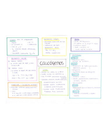 Calcogenos.pdf