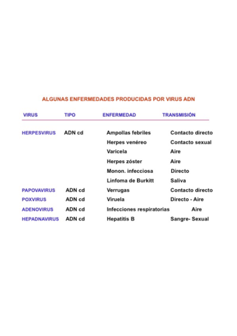Resumen-MII-Virus-ARN-y-ADN.pdf
