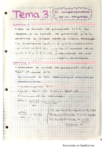 Micro-TEMA-3-ejercicios-resueltos.pdf