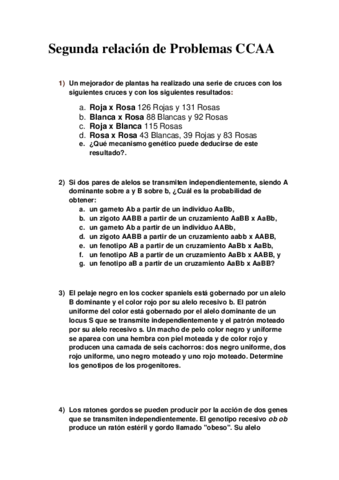 Segunda-relacion-de-Problemas-CCAA.pdf