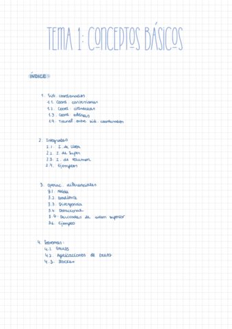 Tema-1-Conceptos-Basicos.pdf