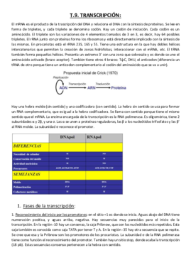 Tema 9. Transcripción..pdf