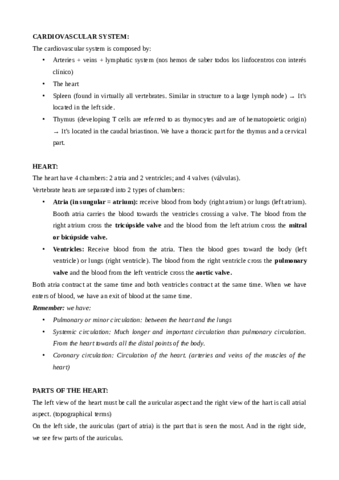 Cardiovascular-system-heart.pdf