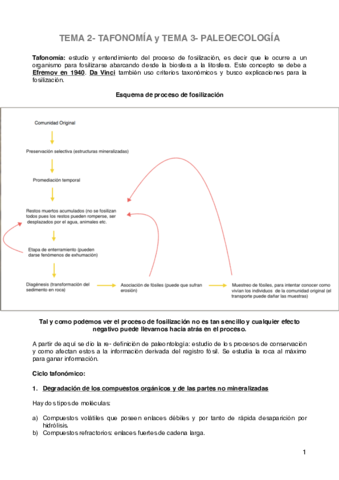 Tema 2 Y 3 Paleobiología .pdf