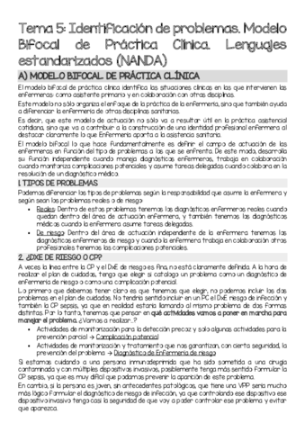 T5-Identificacion-de-problemas.pdf
