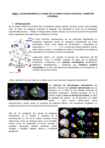 PBPC-TEMA-1-Documentos-de-Google.pdf