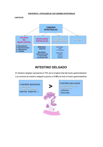AP-PATOLOGIA-DE-LOS-TUMORES-INTESTINALES.pdf