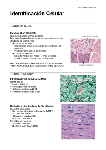 Identificacion-de-Tipos-Celulares-.pdf