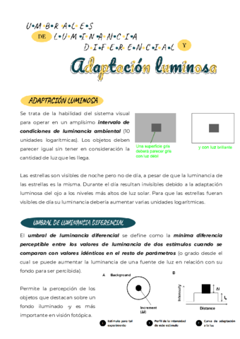 TEMA-6-UMBRALES-DE-LUMINANCIA-DIFERENCIAL-Y-ADAPTACION-LUMINOSA.pdf