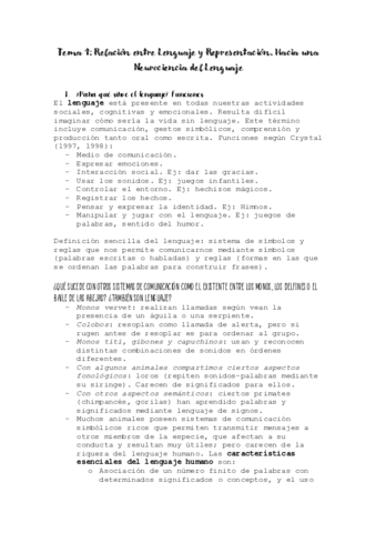 Tema-1-lenguaje.pdf