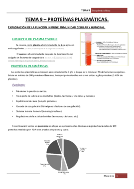 Tema 9 - (Macarena).pdf