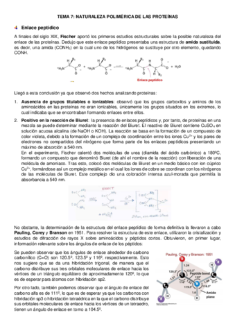 tema-7-estructura.pdf