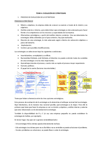 TEMA-4-DIRECCION-ESTRATEGICA-II.pdf