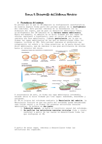 Tema-1-bio.pdf
