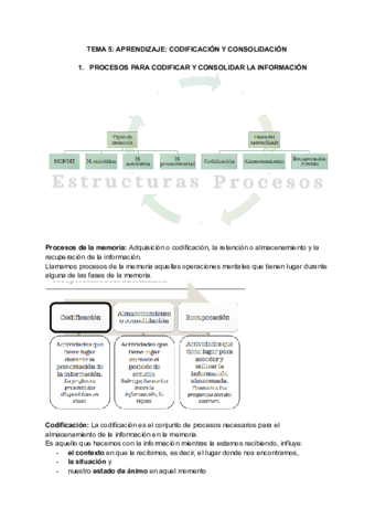 TEMA-5-APRENDIZAJE-CODIFICACION-Y-CONSOLIDACION.pdf