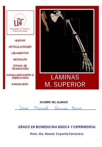 Laminas-3-Miembro-superior.pdf